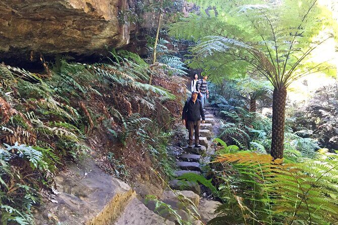 Ultimate Blue Mountains Private Tour with Scenic World and Wildlife Park - The Ferry Return: A Relaxing End