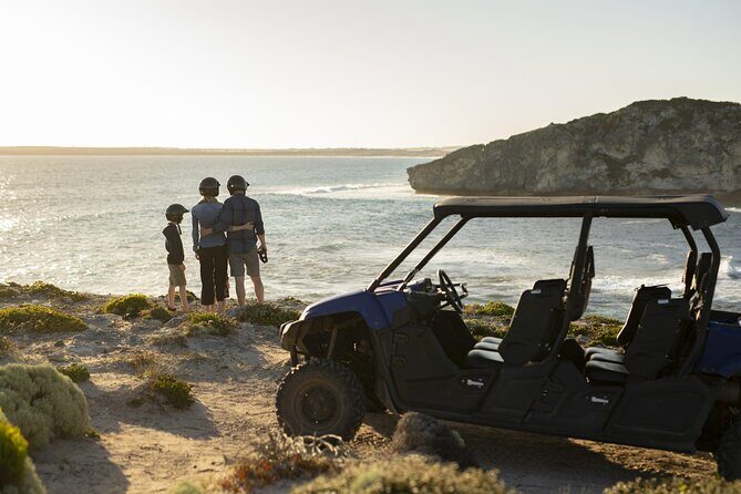 Ultimate Buggy Tour in Kangaroo Island - What the Tour Offers