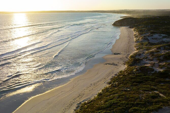 Ultimate Buggy Tour in Kangaroo Island - The Review Highlights