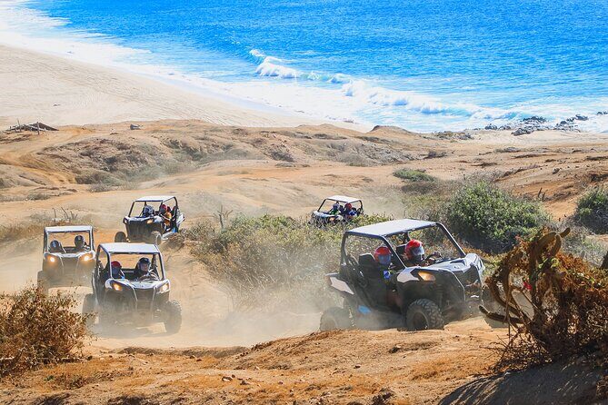 Ultimate Cabo Adventure UTV Horseback and Sky Bike Combo - Practical Details & Value