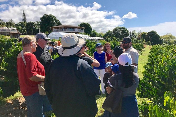 Ultimate Circle Island Explorer From Kona Or Kohala Resorts - Scenic Stops and Attractions