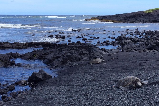 Ultimate Circle Island Explorer From Kona Or Kohala Resorts - Traveler Feedback and Recommendations