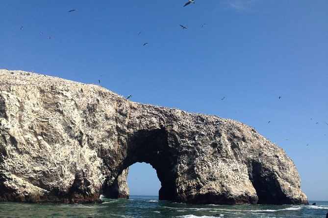 Ultimate Comfort: Lima to Huacachina, Ballestas and Vineyard - Exploring the Huacachina Oasis