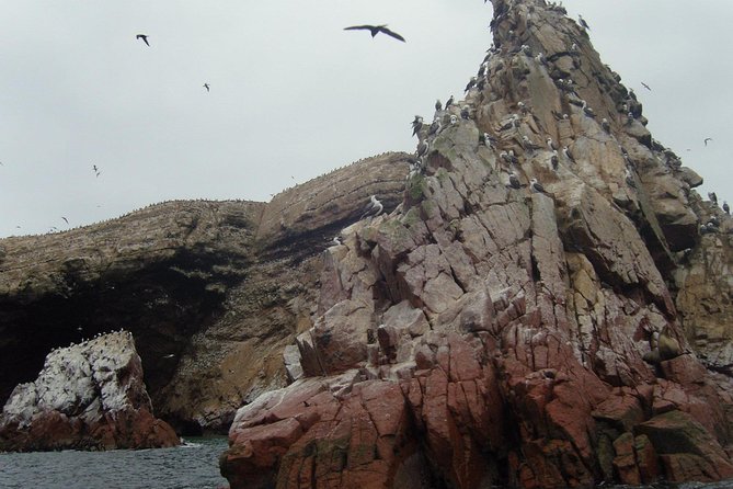 Ultimate Comfort: Lima to Huacachina, Ballestas and Vineyard - Sandboarding and Dune Buggy Adventure