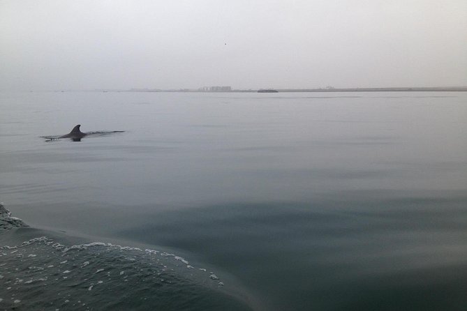 Ultimate Comfort: Lima to Huacachina, Ballestas and Vineyard - Pisco Tasting at a Local Vineyard