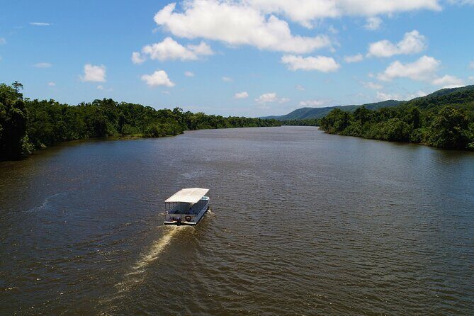 Ultimate Daintree Rainforest Wildlife Experience Cruise - Key Points