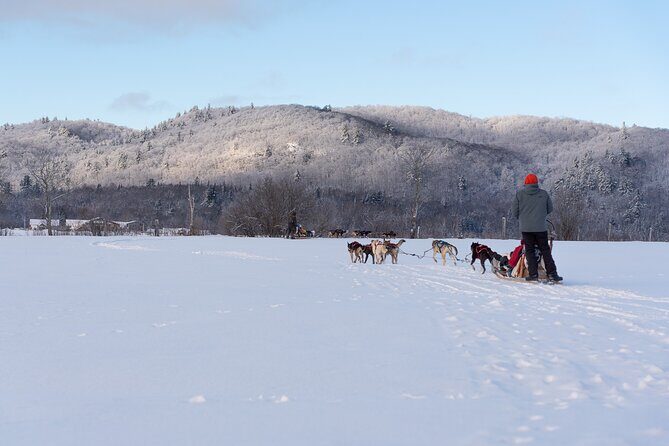 Ultimate Dog Sledding Tour - Day trip from Ottawa & Gatineau - Who Will Love This Tour?