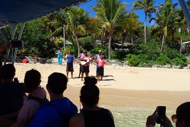 Ultimate Encounter Snorkel with Sharks in Fiji - The Drawbacks and Considerations