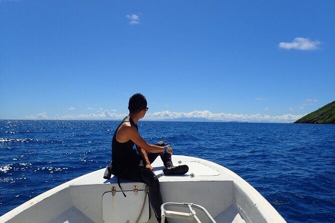 Ultimate Encounter Snorkel with Sharks in Fiji - Final Thoughts: Who Should Consider This Tour?