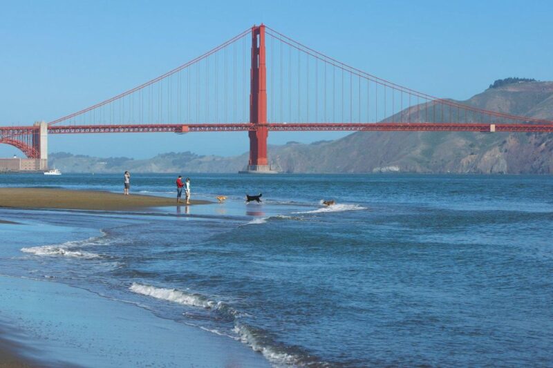 Ultimate Golden Gate Bridge & SF Bay Explorer Tour - Authentic Experiences and Real Feedback