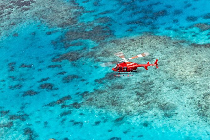 Ultimate Great Barrier Reef and Rainforest 45-minute Helicopter Tour - An In-Depth Look at the Experience