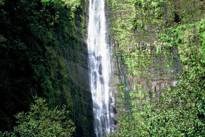 Ultimate Hana Full-Day Adventure Tour - The Value Proposition