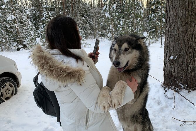Ultimate Husky Dog Sledding Experience in Latvia - Private Tour From Riga - Customizable Activities Available