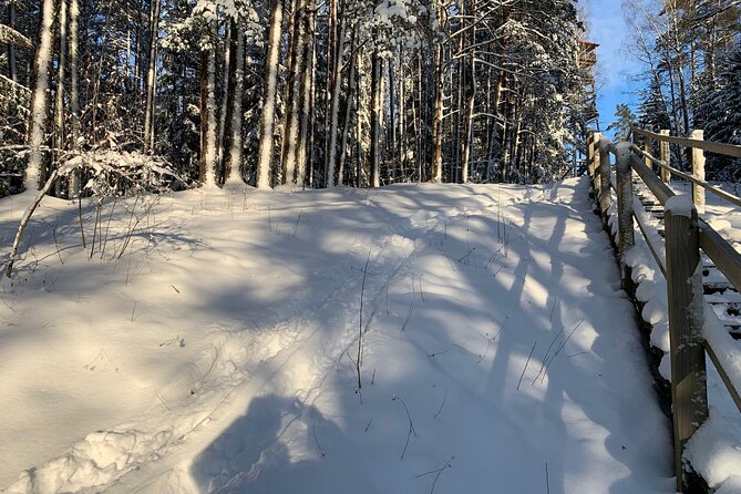 Ultimate Husky Dog Sledding Experience in Latvia - Private Tour From Riga - Customer Experiences and Reviews