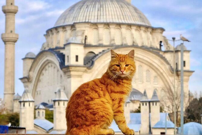 Ultimate Istanbul: 1 or 2-Day Private Guided Tour (Group Price) - Key Points