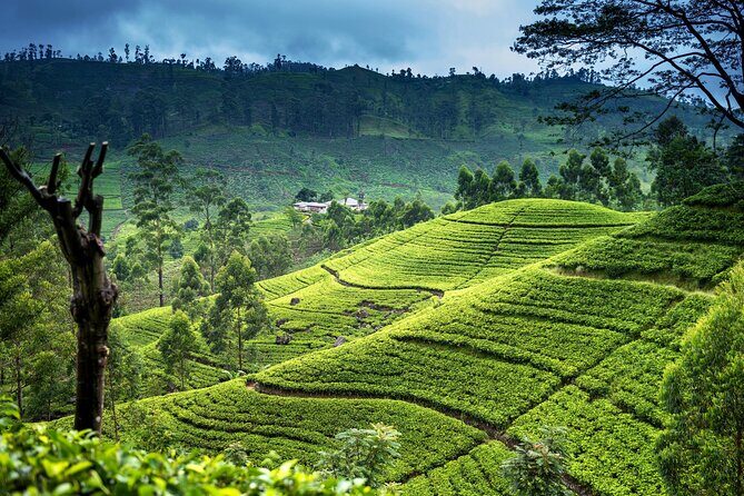 Ultimate Journey in Sri Lanka 4 Day Tours - Final Thoughts