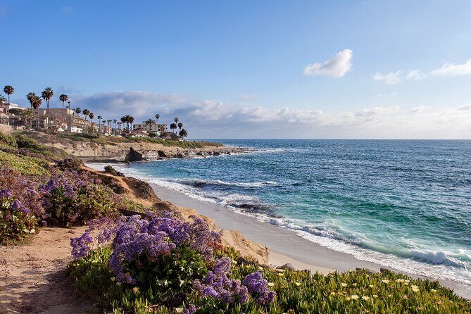 Ultimate La Jolla Self-Guided Driving & Walking Audio Tour Bundle - Considering the Value