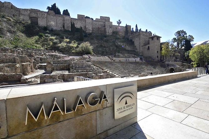 Ultimate Malaga History & Tapas - All Included Full Experience - The Role of Professional Guides