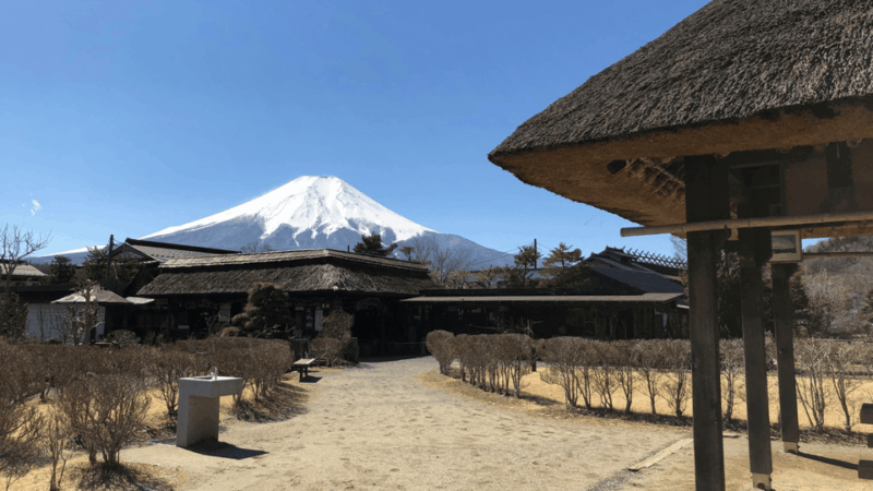 Ultimate Mt. Fuji Private Escape: Day Trip From Tokyo - Inclusions and Exclusions
