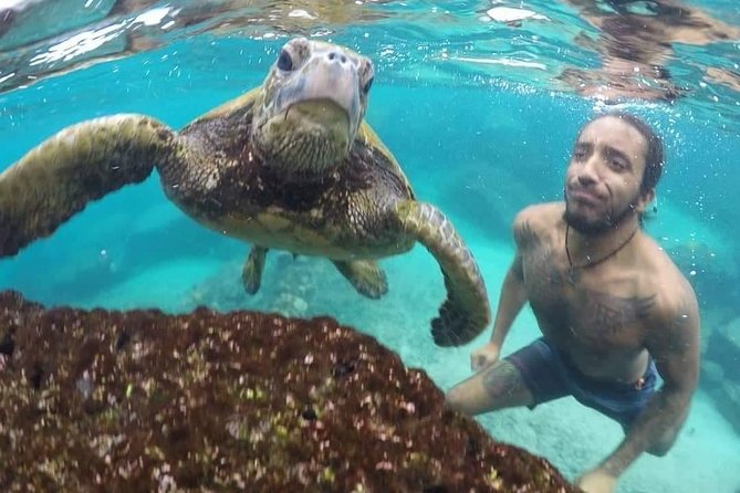 Ultimate Ocean Encounters Midday Snorkel - Exploring the Itinerary in Detail