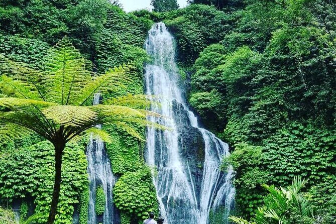 Ultimate Private "2 Days 1 Night North East Bali " - An In-Depth Look at the North Bali Tour