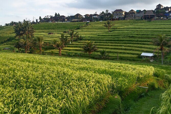 Ultimate Private "2 Days 1 Night North East Bali " - Practical Details and Tips