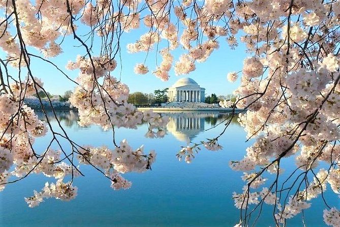 Ultimate Private City Tour of Washington DC - Up to 5 Guests - Cancellation Policy and Flexibility