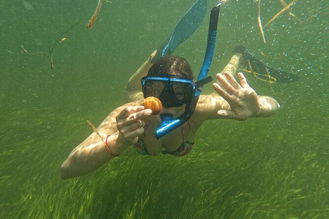 Ultimate Private Scalloping Adventure in Crystal River - The scalloping & snorkeling experience