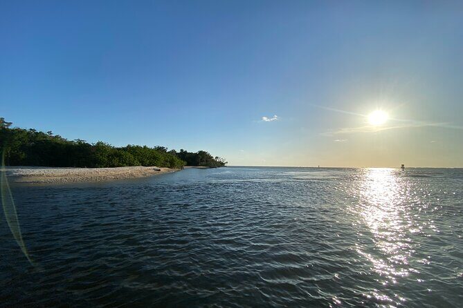 Ultimate Private Scalloping Adventure in Crystal River - Wildlife & Scenic Sightings