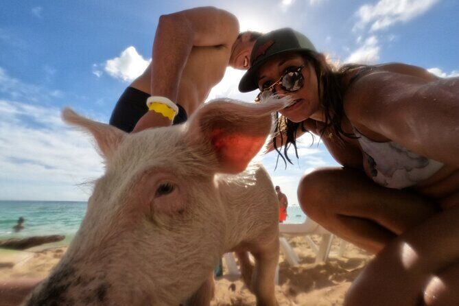 Ultimate SeaXscape Pigs/Turtles/Snorkel/Lunch/Drinks/PU/DO - The Authenticity and Experience