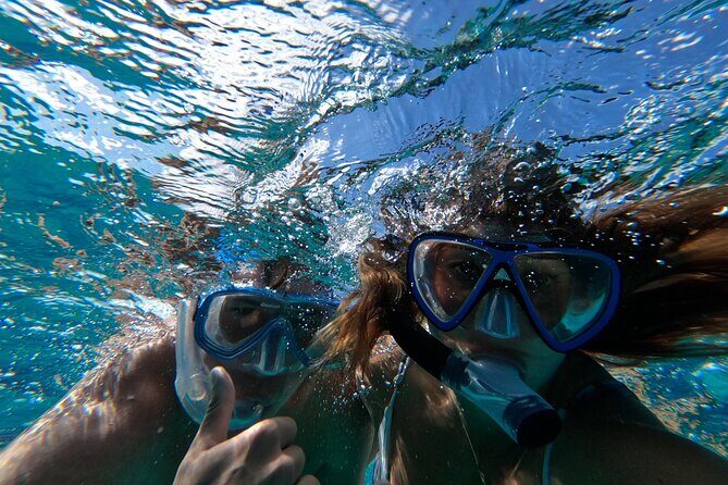 Ultimate SeaXscape Pigs/Turtles/Snorkel/Lunch/Drinks/PU/DO - About the Price: Is It Worth It?