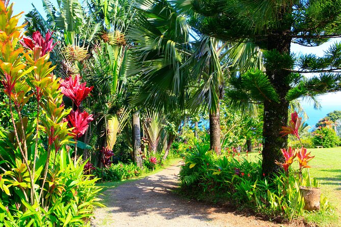 Ultimate Self-Driving Audio Tour of Road to Hana, Maui - What Travelers Say