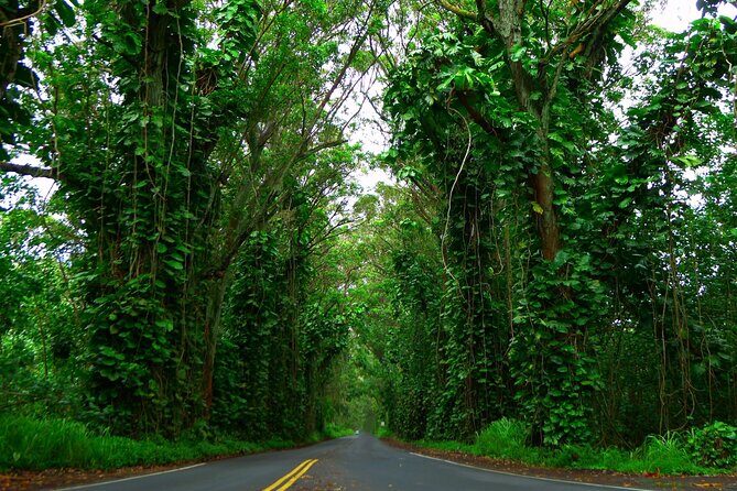 Ultimate Self-Guided Audio Driving Tour of Kauai (Na Pali, Waimea), Hawaii - The Experience in Action