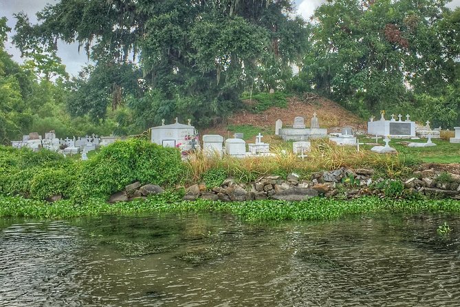 Ultimate Swamp Tour Experience with Transportation from New Orleans - The Practicalities: What to Expect