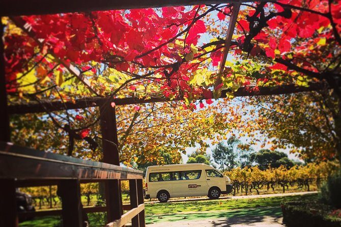 Ultimate Swan Valley Food and Wine Day Trip from Perth - Pricing and Overall Value