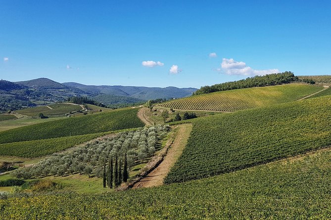 Ultimate Tuscany Bike Tour - Inclusions and Pricing