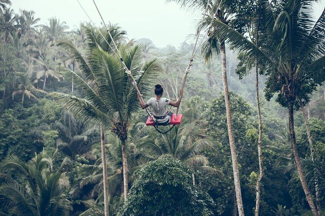 Ultimate Ubud - An In-Depth Look at the Ultimate Ubud Tour