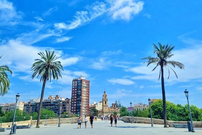 Ultimate Valencia Bike Private Tour - Who Should Consider This Tour?