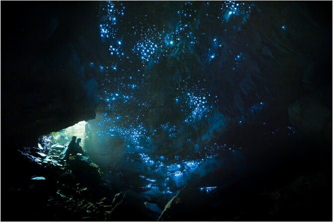 Ultimate Waitomo Glowworm Tour  Private, Tailored, After Dark - Key Points
