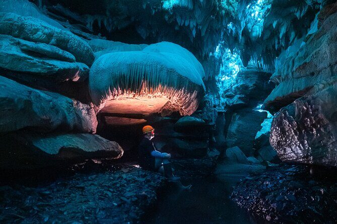 Ultimate Waitomo Glowworm Tour  Private, Tailored, After Dark - The Itinerary: What to Expect