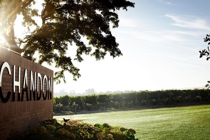 Ultimate Yarra Valley Chandon, Soumah & De Bortoli Cheese & Wine - Final Thoughts: Who Will Love This Tour?