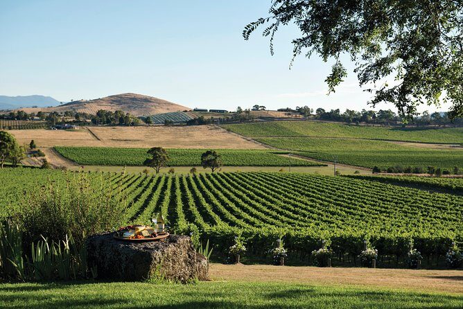 Ultimate Yarra Valley Chandon, Soumah & De Bortoli Cheese & Wine - FAQ