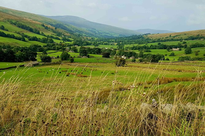 Ultimate Yorkshire Dales Tour - Magnificent Views - Photo Stops - Expert Guide - FAQ