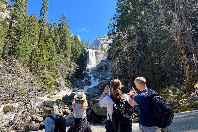 Ultimate Yosemite: Private Tour + Lunch - Analyzing the Price and Value