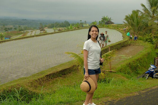 Ulundanu Bratan Temple, Jatiluwih Rice Terrace and Tanah Lot Sunset Tour - Overview of the Tour Experience