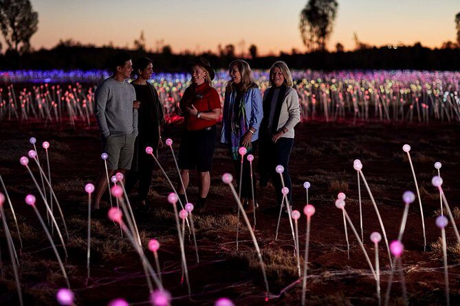 Uluru (Ayers Rock) Field of Light Sunrise Tour - An Introductory Overview of the Tour