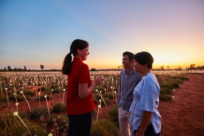 Uluru (Ayers Rock) Field of Light Sunrise Tour - Pricing and Value