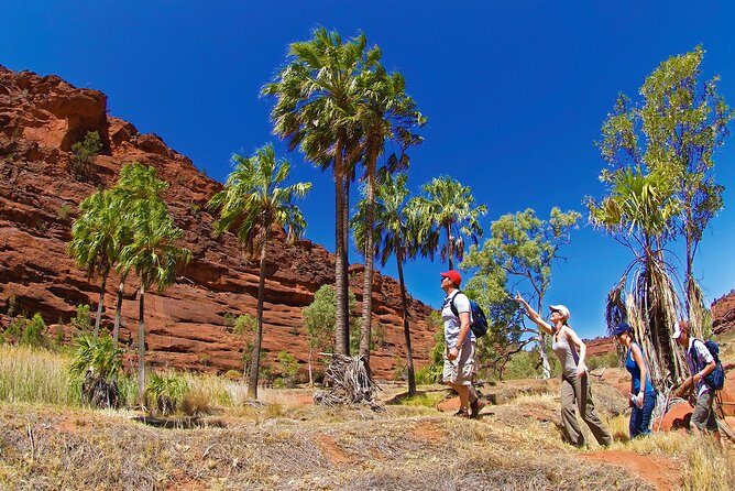 Uluru (Ayers Rock) Sunset + Outback Barbecue Dinner & Star Talk - FAQs