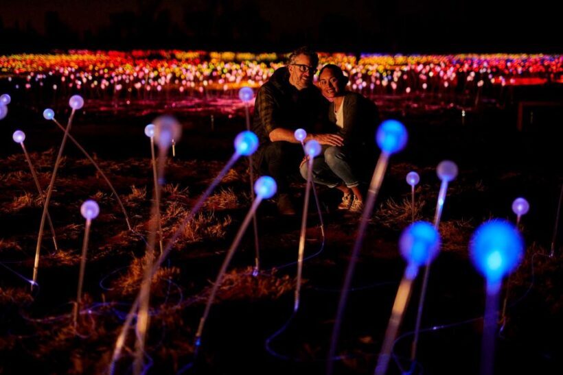 Uluru: Field of Light Sunrise Tour with Hot Drinks - Introduction: A Must-Do for Art and Nature Lovers