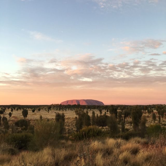 Uluru: Field of Light Sunrise Tour with Hot Drinks - Authentic Experiences and Traveler Feedback